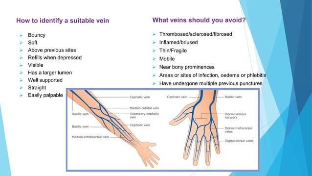 PERIPHERAL INTRA VENOUS CANNULA INSERTION.pptx | First Aid | Injuries