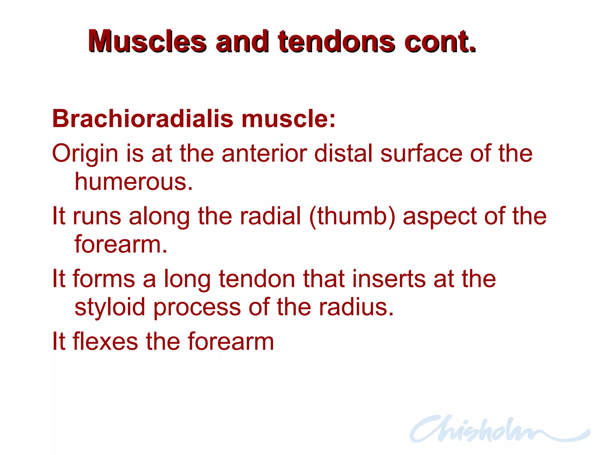 Peripheral Iv Cannulation | PPT
