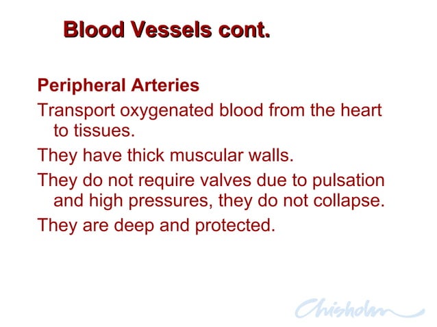 Peripheral Iv Cannulation | PPT