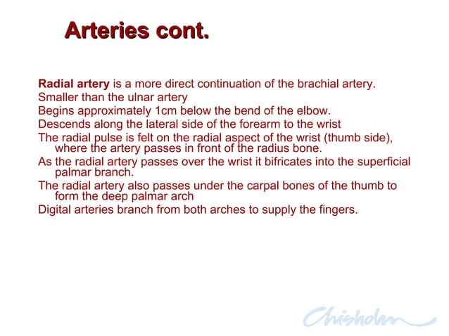 Peripheral Iv Cannulation | PPT