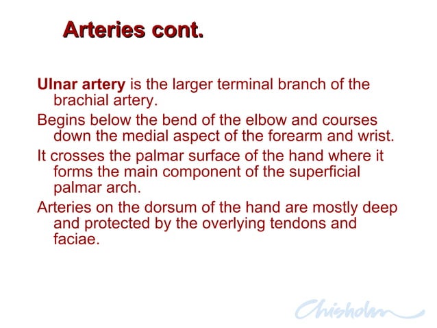 Peripheral Iv Cannulation | PPT