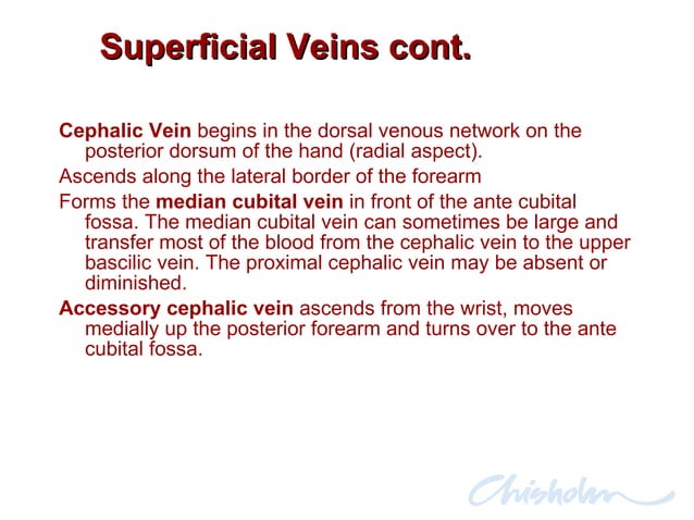 Peripheral Iv Cannulation | PPT