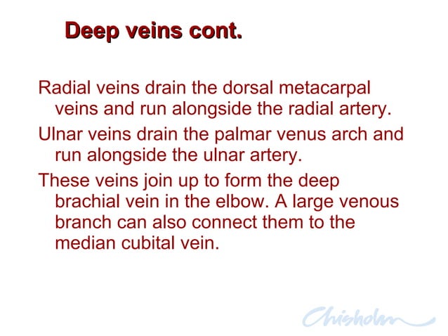 Peripheral Iv Cannulation | PPT