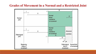 peripheral joint mobilization UL,LL MANUAL THERAPY | PPTX