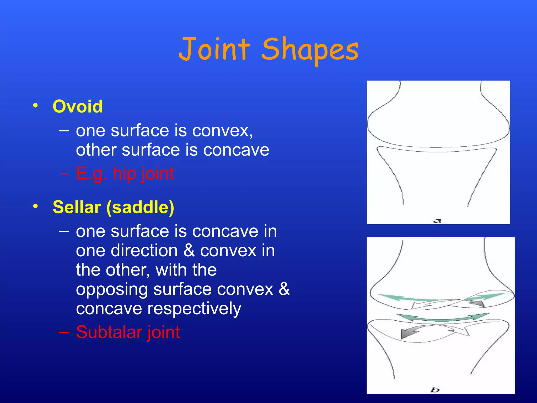 Joint mobilization AmiR | PPT