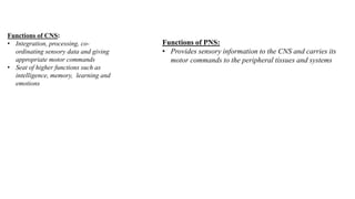 Powerpoint presentation about peripheral nerve | PPTX