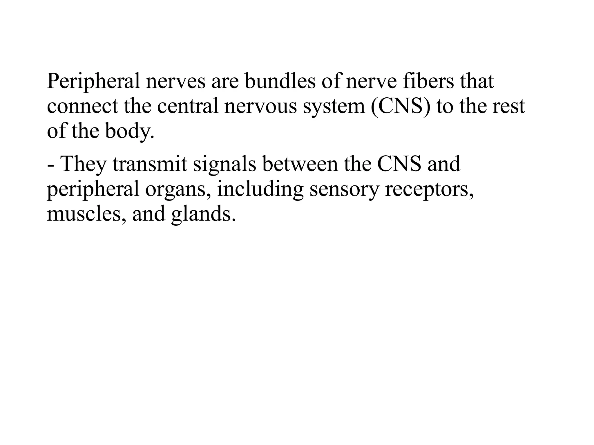 PERIPHERAL NERVE STRUCTURE AND CLASSIFICATION | PDF