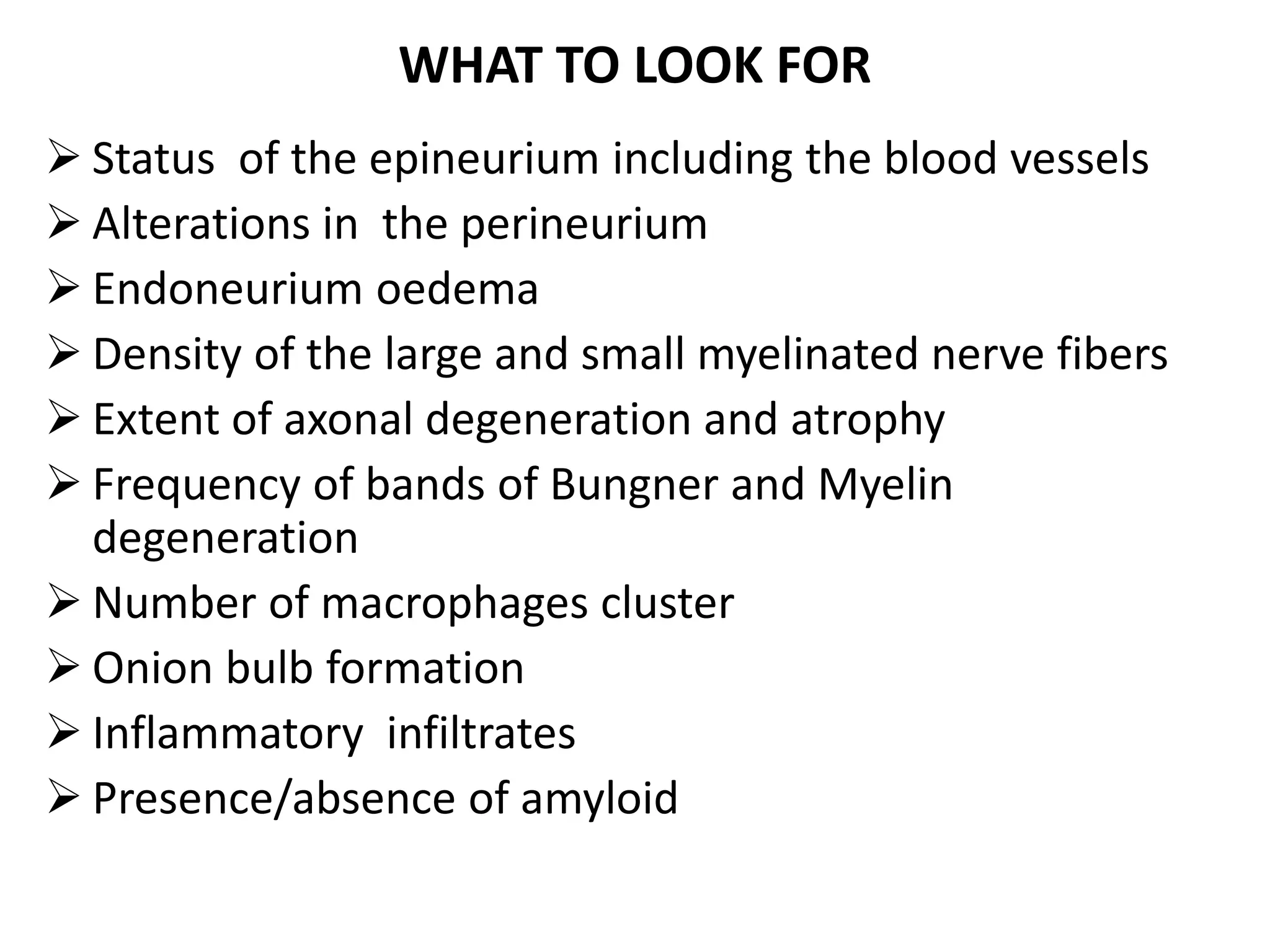 Peripheral nerve biopsy | PPTX