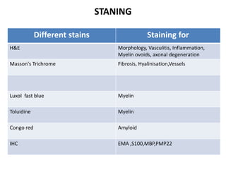 Peripheral nerve biopsy | PPTX