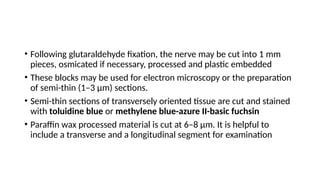 PERIPHERAL NERVE BIOPSY IN PATHOLOGY-BASICS | PPTX