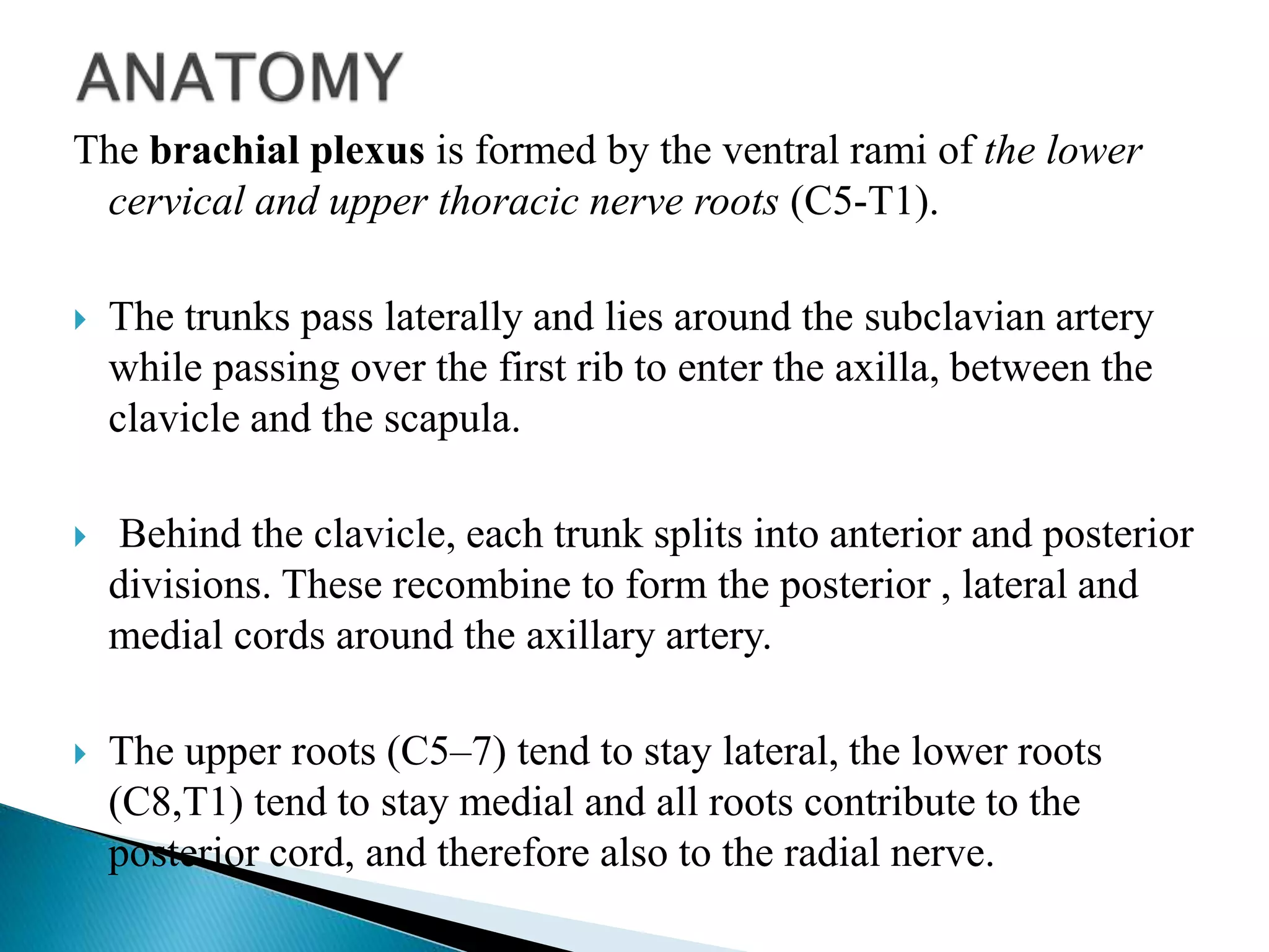 Peripheral nerve blocks | PPTX