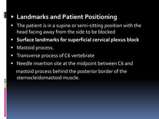 Peripheral nerve blocks | PPTX