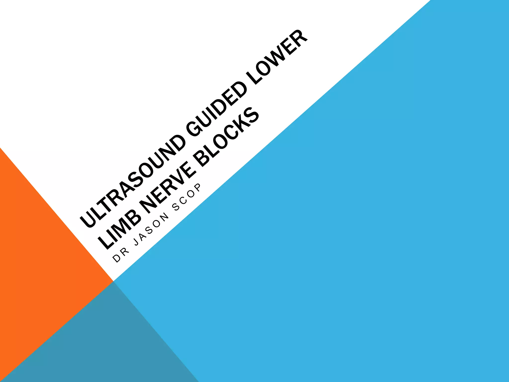 US Guided Lower Limb Nerve Blocks | PPTX