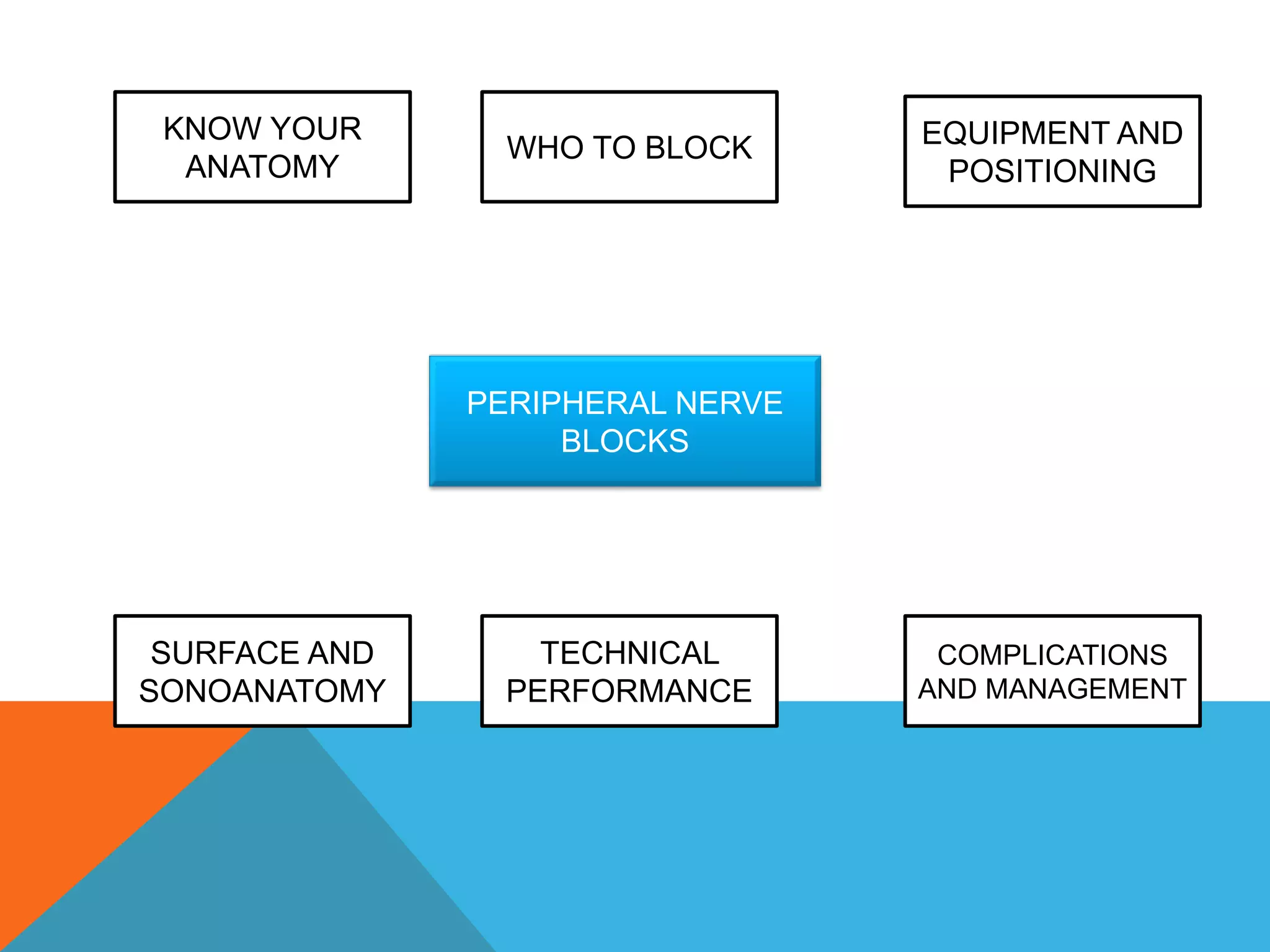 US Guided Lower Limb Nerve Blocks | PPTX
