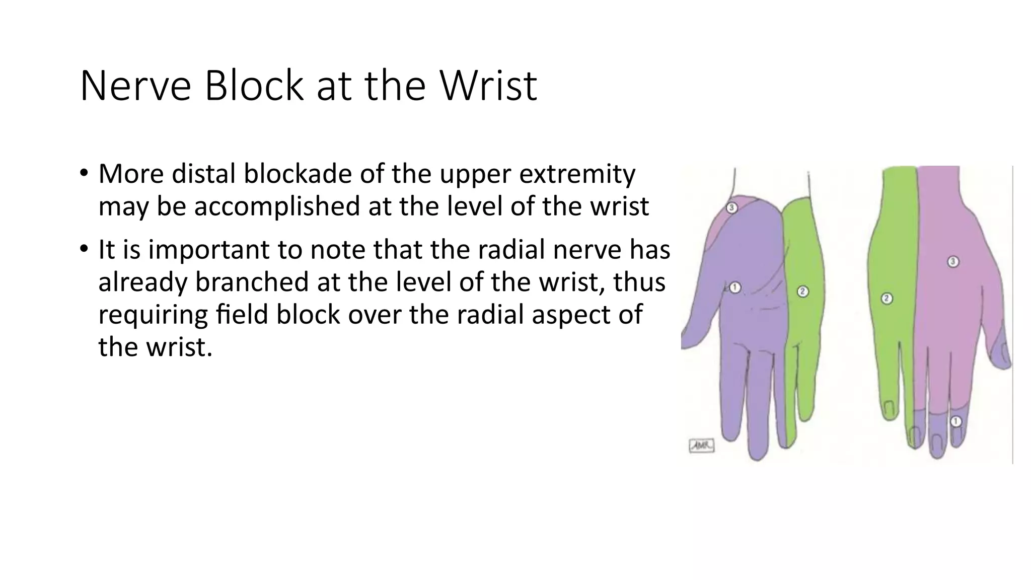 Peripheral Nerve Blocks of the Arm.pptx
