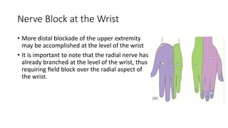 Peripheral Nerve Blocks of the Arm.pptx
