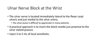 Peripheral Nerve Blocks of the Arm.pptx