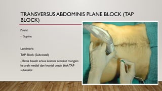 Peripheral Nerve Block Supraclavicular dan TAP.pptx