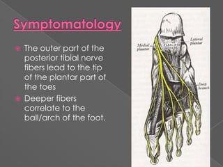 Peripheral Nerve Compression Syndrome | PPTX