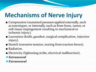 peripheralnervedisorders-211202105716.pptx