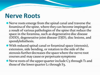 peripheralnervedisorders-211202105716.pptx