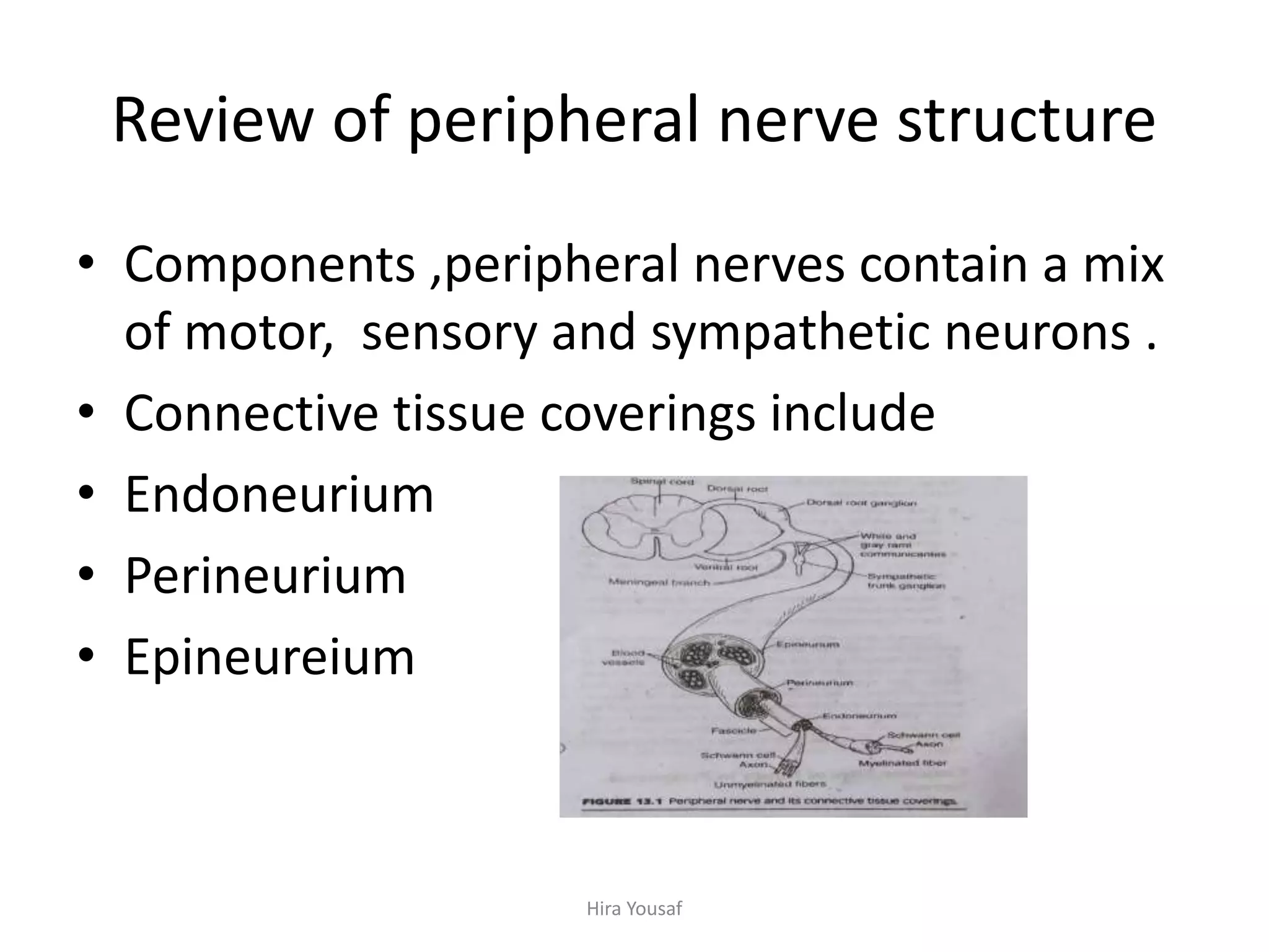 Peripheral Nerve Disorders | PPTX