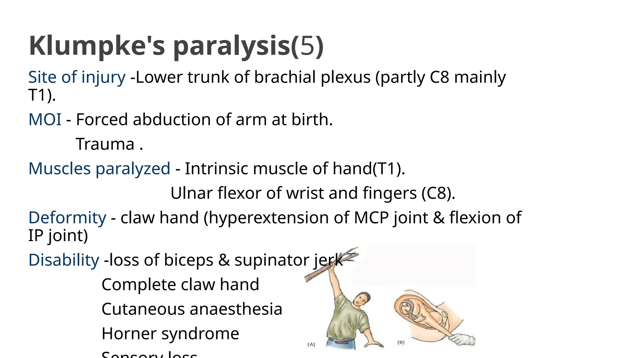 PERIPHERAL NERVE INJURIES (presented by pranjal).pptx