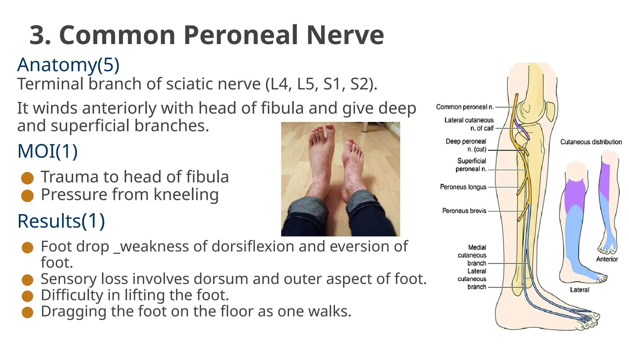 PERIPHERAL NERVE INJURIES (presented by pranjal).pptx