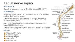 PERIPHERAL NERVE INJURIES (presented by pranjal).pptx