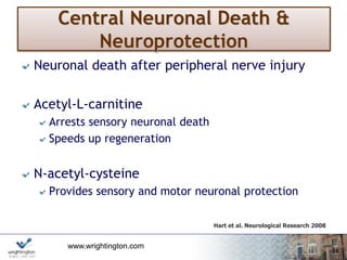 Peripheral nerve injuries | PPT