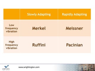 Peripheral nerve injuries | PPT