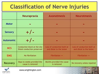 Peripheral nerve injuries | PPT