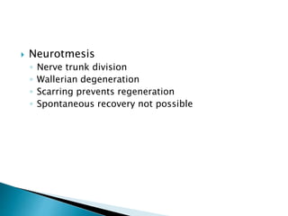 Peripheral nerve injuries | PPTX