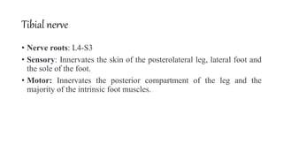 PERIPHERAL NERVE INJURIES.pptx