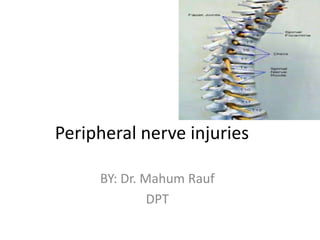 peripheral nerve injuries.physiology.pptx | Death, Injury, or Military ...