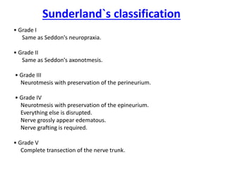 peripheral nerve injuries CLASSSIFICATION.pptx