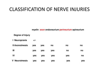 peripheral nerve injuries CLASSSIFICATION.pptx