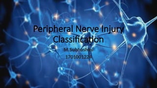 peripheral nerve injuries- classification and manifestations | PPT