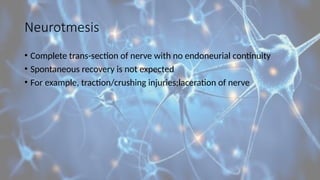 peripheral nerve injuries- classification and manifestations | PPTX