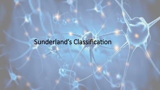 peripheral nerve injuries- classification and manifestations | PPTX