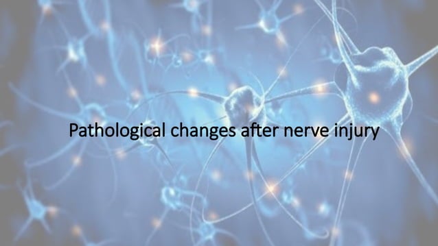 peripheral nerve injuries- classification and manifestations | PPT