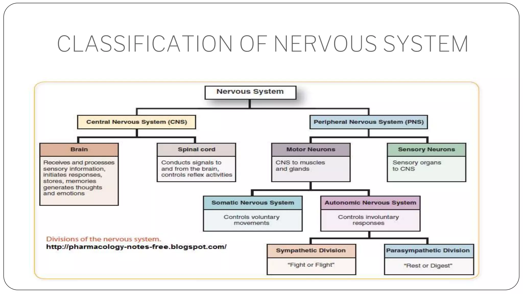 Peripheral nerve injuries.pptx