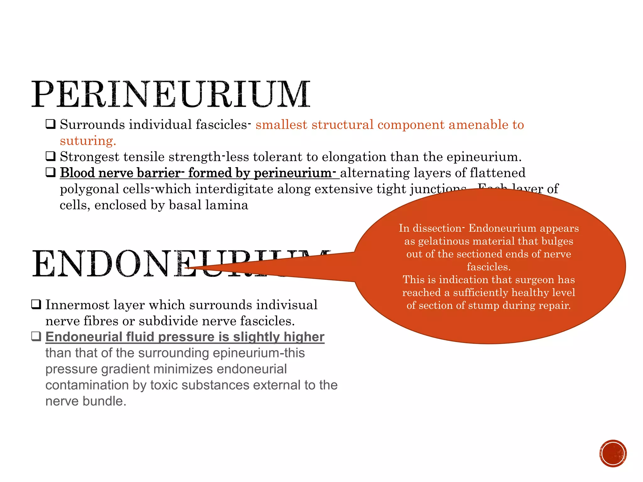 Peripheral nerve injuries parth | PPTX
