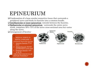 Peripheral nerve injuries parth | PPTX