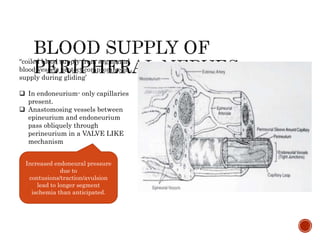 Peripheral nerve injuries parth | PPTX