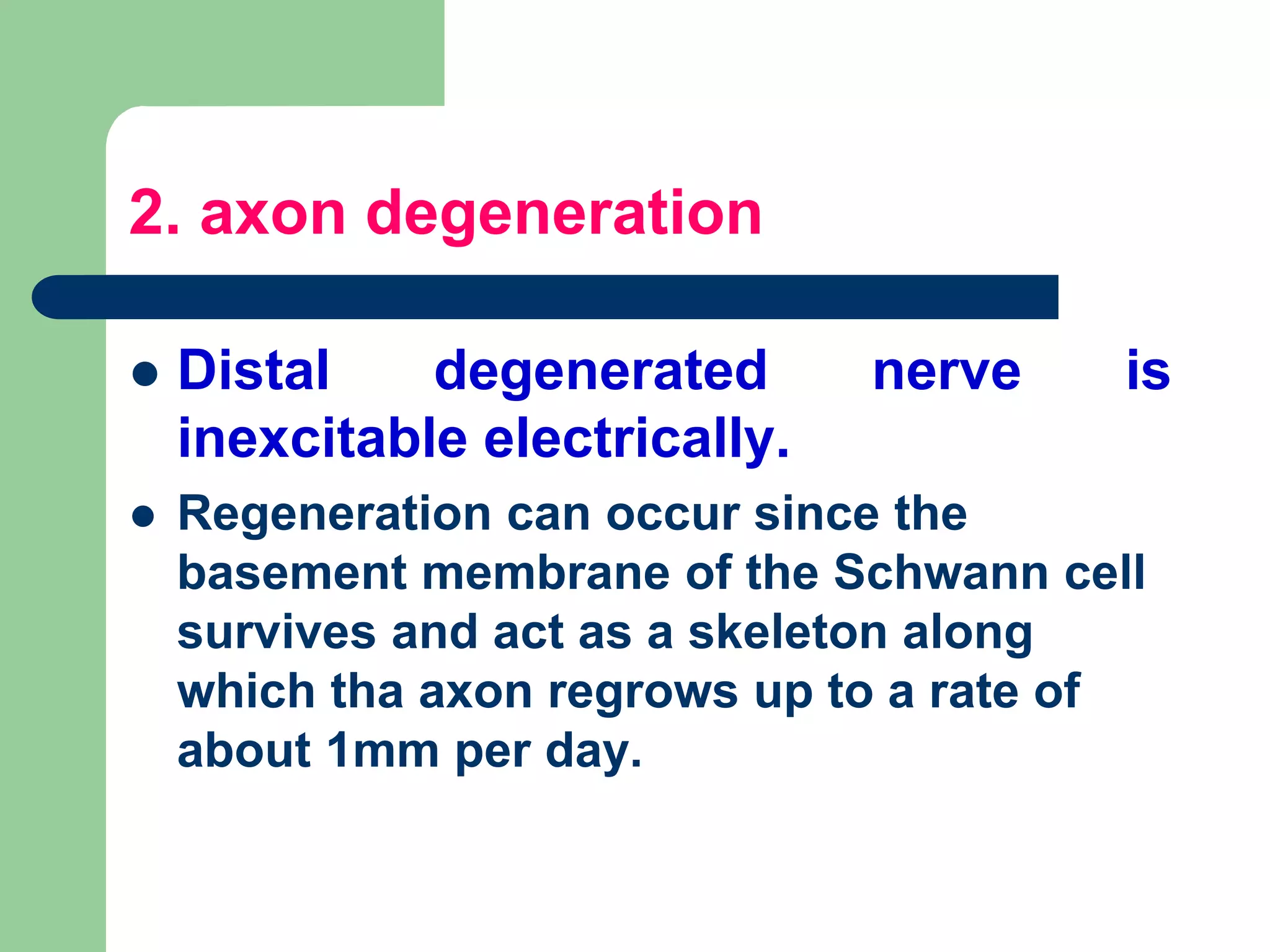 Peripheral_Nerve_Injuries (1).ppt