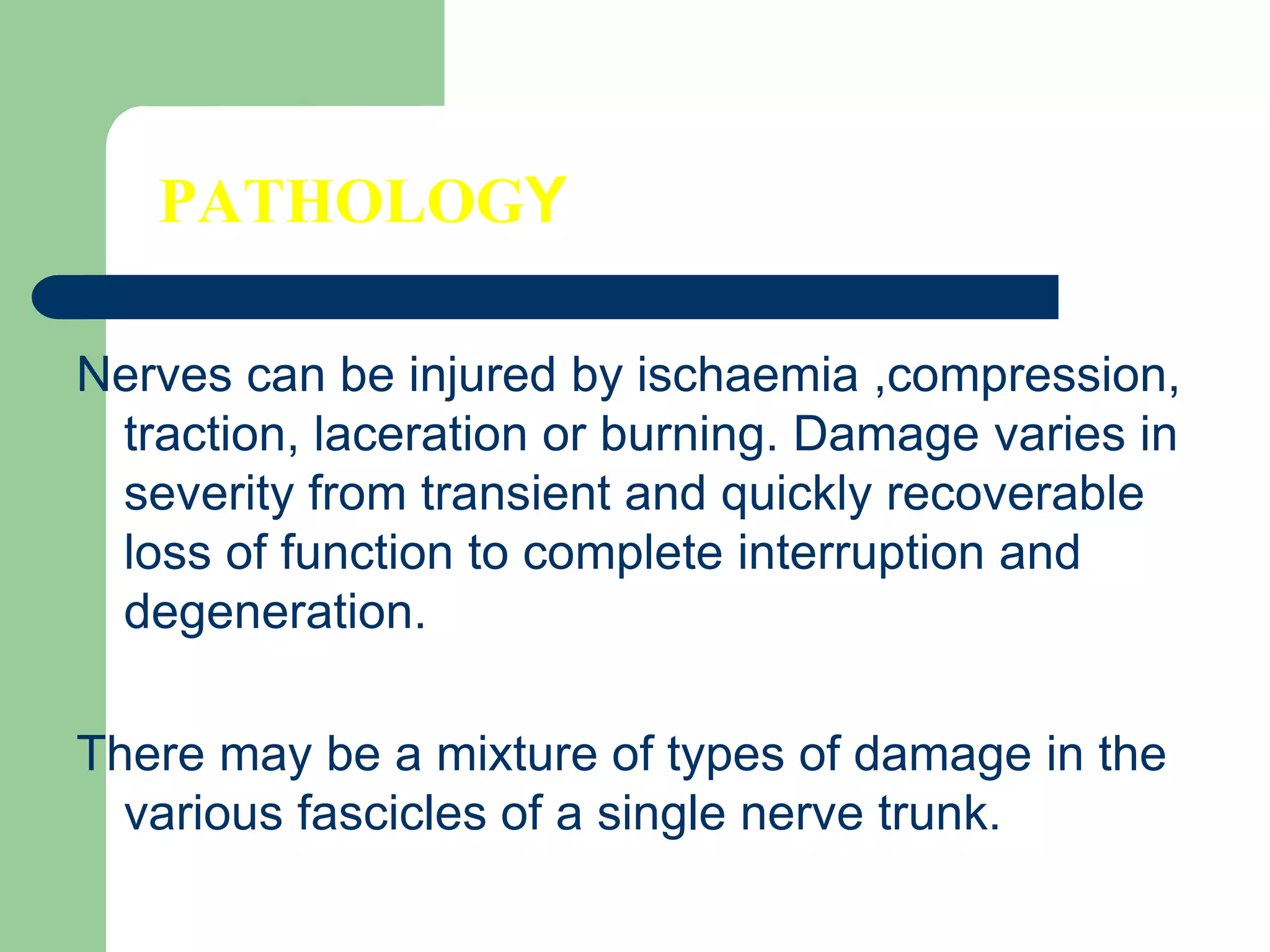 Peripheral_Nerve_Injuries (1).ppt