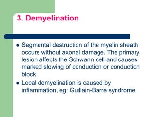 Peripheral_Nerve_Injuries (1).ppt