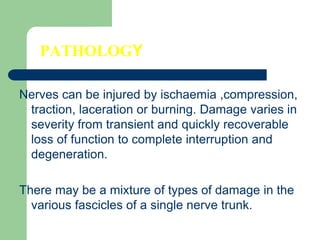 Peripheral_Nerve_Injuries (1).ppt