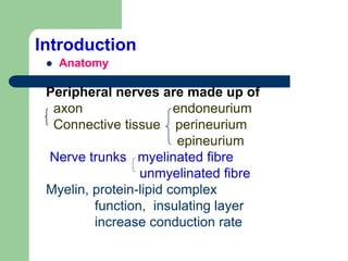 Peripheral_Nerve_Injuries (1).ppt